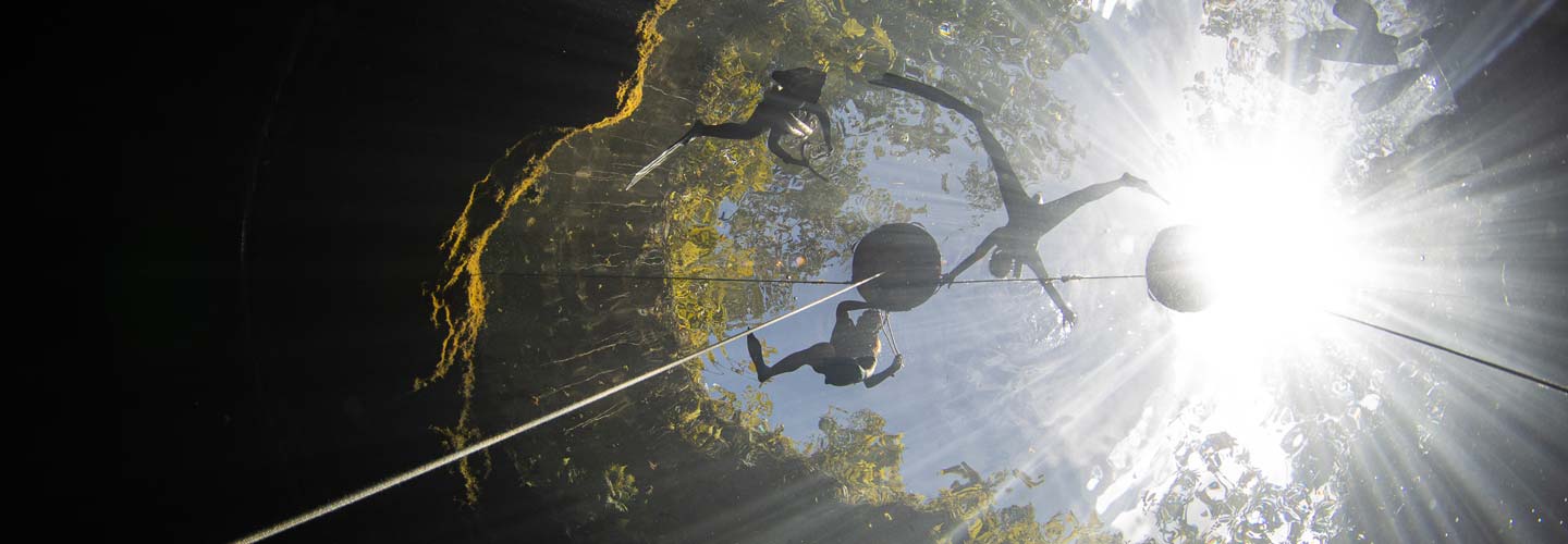 SSI Freediving Course Level 1 - Ko'ox Adventures